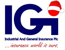 Industrial & General Insurance Plc - Industrial and General Insurance Plc